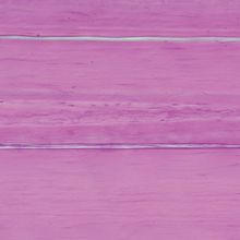 Connective Tissue Types Microscope Slide Set | Carolina Biological Supply