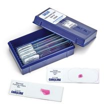 Cardiovascular System Slide Set | Carolina Biological Supply