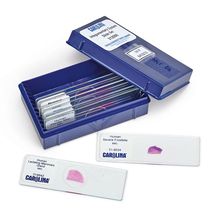 Integumentary System Slide Set | Carolina Biological Supply