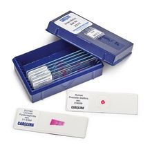 Urinary System Slide Set | Carolina Biological Supply