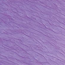 Elastic Tissue, L.S., Microscope Slide | Carolina Biological Supply