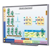 Multimedia Science Lessons for Interactive Whiteboards: Genetics, the ...