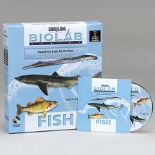 Carolina® Bio Lab®: Fish | Carolina Biological Supply