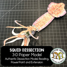 Scienstructable 3D Dissection Model®: Squid Paper Dissection | Carolina ...