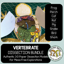 Scienstructable 3D Dissection Model®: Vertebrates Bundle | Carolina ...