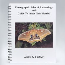 Photographic Atlas of Entomology and Guide to Insect Identification ...