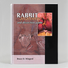 Rabbit Anatomy and Dissection Guide | Carolina Biological Supply