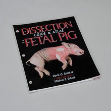 A Dissection Guide and Atlas to the Fetal Pig | Carolina Biological Supply