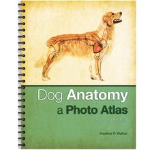 Dog Anatomy: A Photo Atlas | Carolina Biological Supply