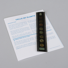 Cells of Plants Microslide® Lesson Set | Carolina Biological Supply