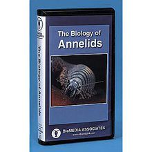 Biology of Annelids DVD | Carolina Biological Supply