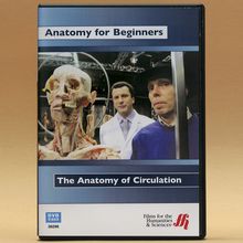 The Anatomy of Circulation DVD | Carolina Biological Supply