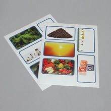 Vocabulary Cards, Exploring Plants and Animals | Carolina Biological Supply