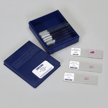Slide Set, Cell Specialization | Carolina Biological Supply