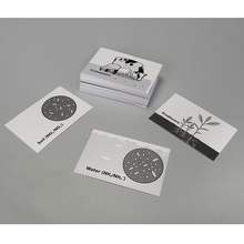 Card Set, Nitrogen Movement, Pack of 4 Sets | Carolina Biological Supply