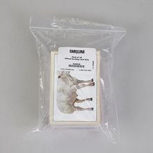 Photo Card Sets, Animal Sorting, Pack of 16 | Carolina Biological Supply