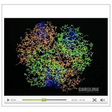 An Introduction to the Living Cell Video Package | Carolina.com
