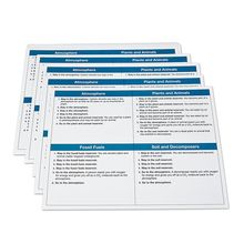 Cards, Quick Reference, Pack of 32 | Carolina Biological Supply