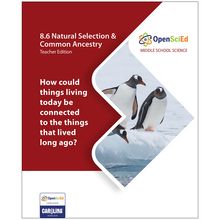 OpenSciEd: 8.6 Natural Selection and Common Ancestry 5-Class Unit Kit ...