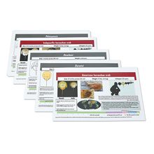 Card Sets, Day 2 Horseshoe Crab Data, Pack of 3 | Carolina Biological ...