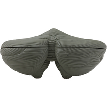 Altay® Enlarged Human Cerebellum Model | Carolina Biological Supply