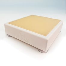 Small Animal Intramuscular Puncture Trainer | Carolina Biological Supply