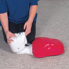 Life/form® Basic Buddy® CPR Manikin, Single | Carolina Biological Supply