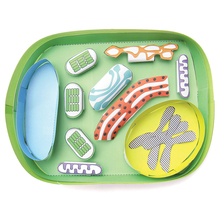 Origami Organelles™ 3-D Paper Model Kit: Plant Cell | Carolina ...