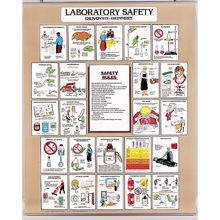Laboratory Safety Chart | Carolina Biological Supply