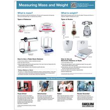 Measuring Mass and Weight Lab Skills Poster | Carolina Biological Supply