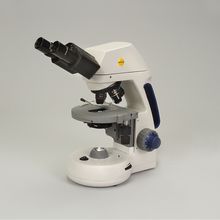 Swift® M10 and M17 Advanced Binocular Microscopes | Carolina Biological ...