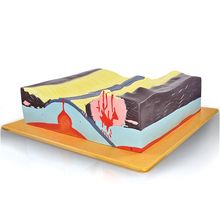 Tectonics Model | Carolina Biological Supply
