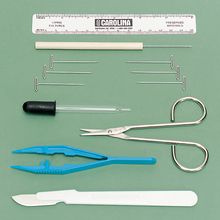 Standard Dissecting Set I | Carolina Biological Supply