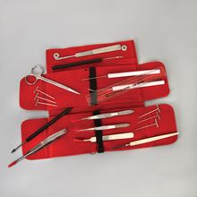 Microdissecting Set | Carolina Biological Supply