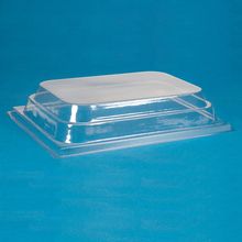 Dissecting Pan Cover, Deluxe, for 12-3/4 x 9" Pan | Carolina Biological ...