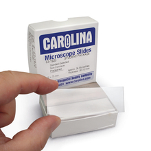 Carolina® Microscope Slide, Glass, Standard, 25 x 75 mm, 1.1-1.8 mm ...