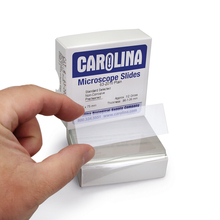 Carolina® Microscope Slide, Glass, Standard, 25 x 75 mm, 0.96-1.06 mm ...