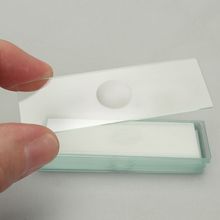 Student-Quality Concavity Slides, Pack of 12 | Carolina Biological Supply