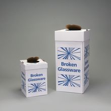 Glass Disposal Boxes | Carolina.com