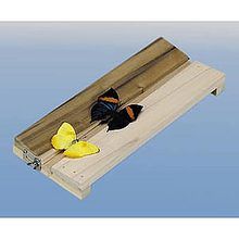 Insect Mounting Board, Adjustable | Carolina Biological Supply