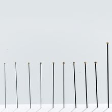 Insect Pins, Black Steel, Size 000, Pack of 100 | Carolina Biological ...