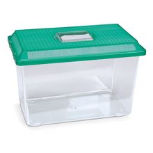 Aqua-Terrarium, Plastic, Large | Carolina Biological Supply