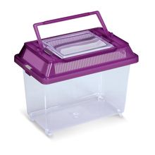 Aqua-Terrarium, Plastic, Mini | Carolina Biological Supply