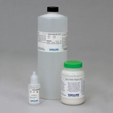Cell Size and Diffusion Kit Refill | Carolina Biological Supply