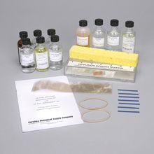 Diffusion Demonstration Kit | Carolina Biological Supply