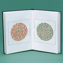 Ishihara Color Vision Test, Concise Edition | Carolina Biological Supply