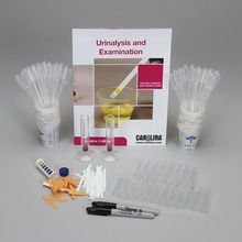 Carolina BioKits®: Urinalysis | Carolina Biological Supply