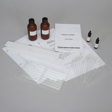 Carolina BioKits®: Pregnancy Test | Carolina Biological Supply