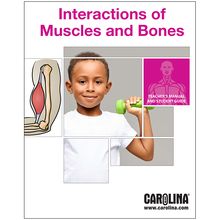 Interactions of Muscles and Bones Digital Resources | Carolina ...