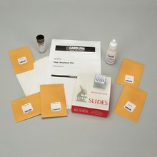 Hair Analysis Kit | Carolina Biological Supply